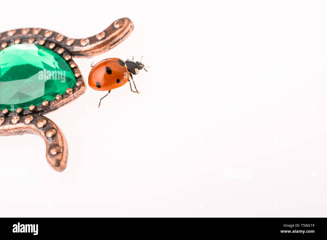 Beautiful photo of red ladybug walking around objects Stock Photo - Alamy