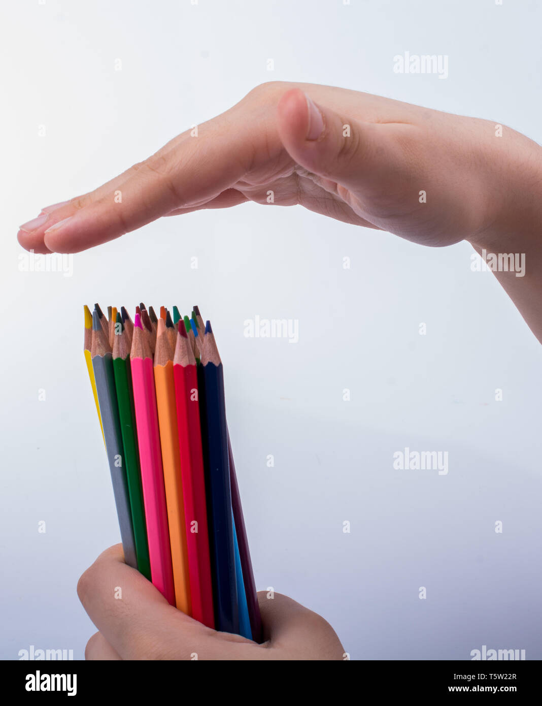 Hand holding color Pencils placed on a white background Stock Photo - Alamy