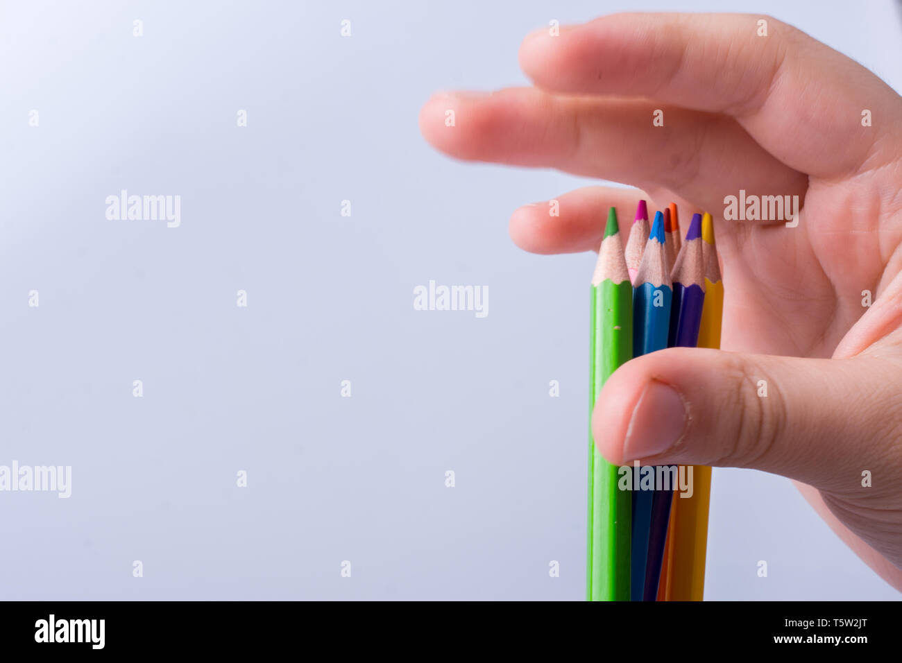 Hand holding color Pencils placed on a white background Stock Photo - Alamy