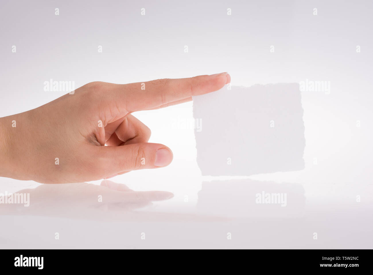Hand holding a torn piece of paper on a white background Stock Photo ...