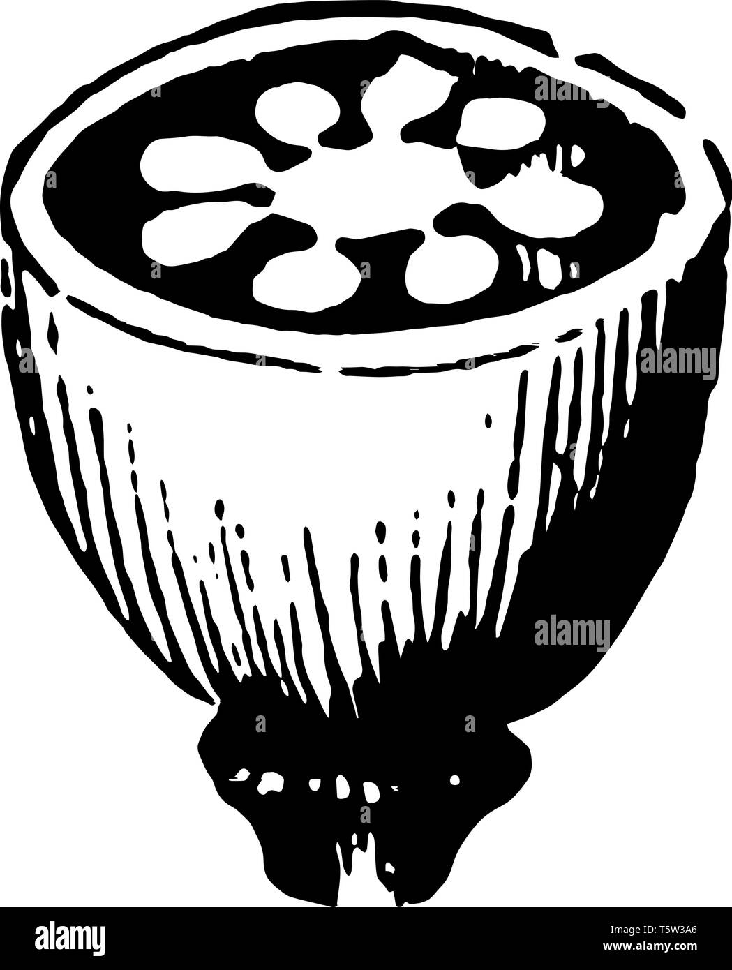 This picture is of an ovary of Sand-Spurrey, also known as Spergularia ...