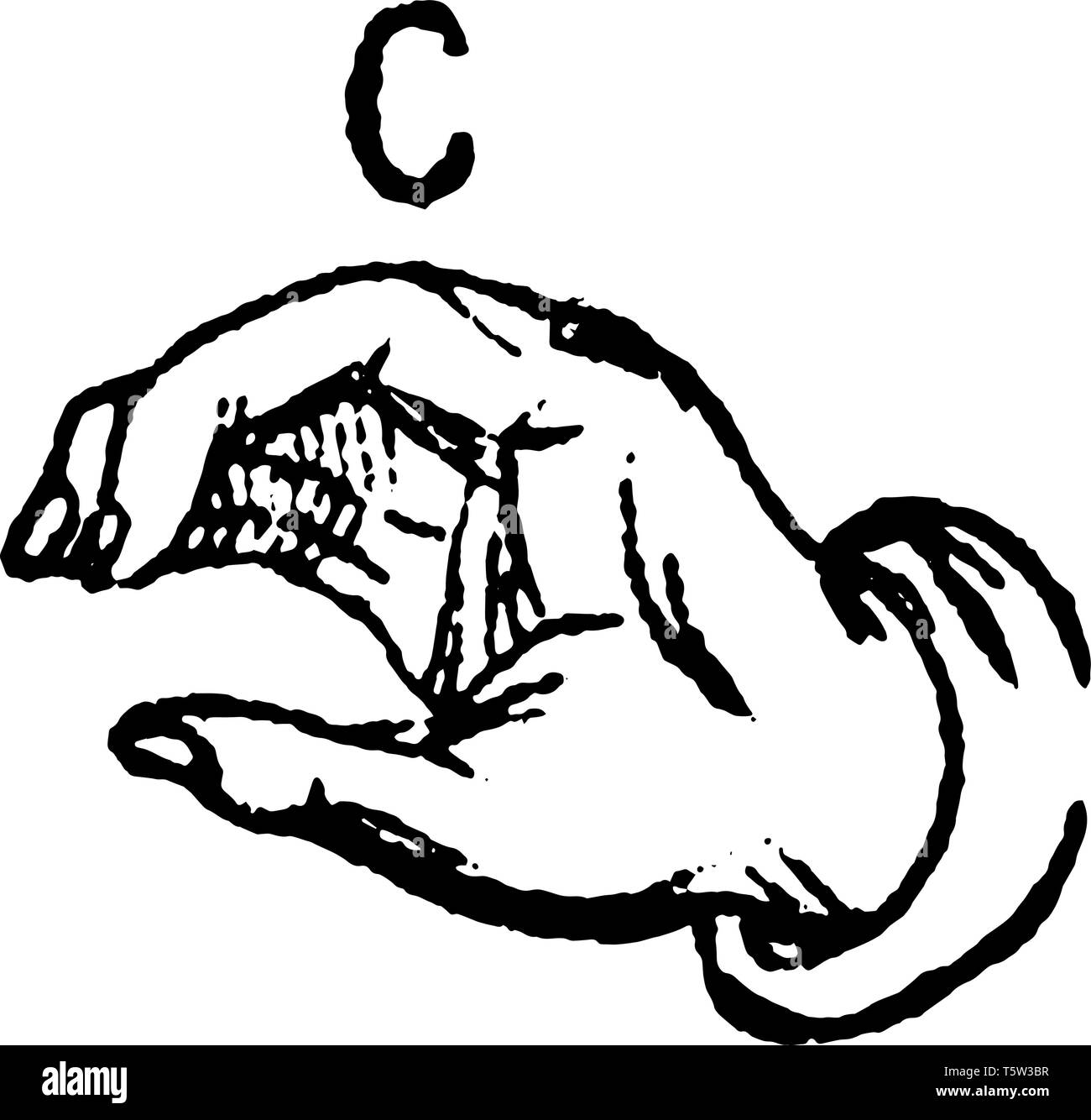 This image shows two signals with the hand for C, vintage line drawing ...