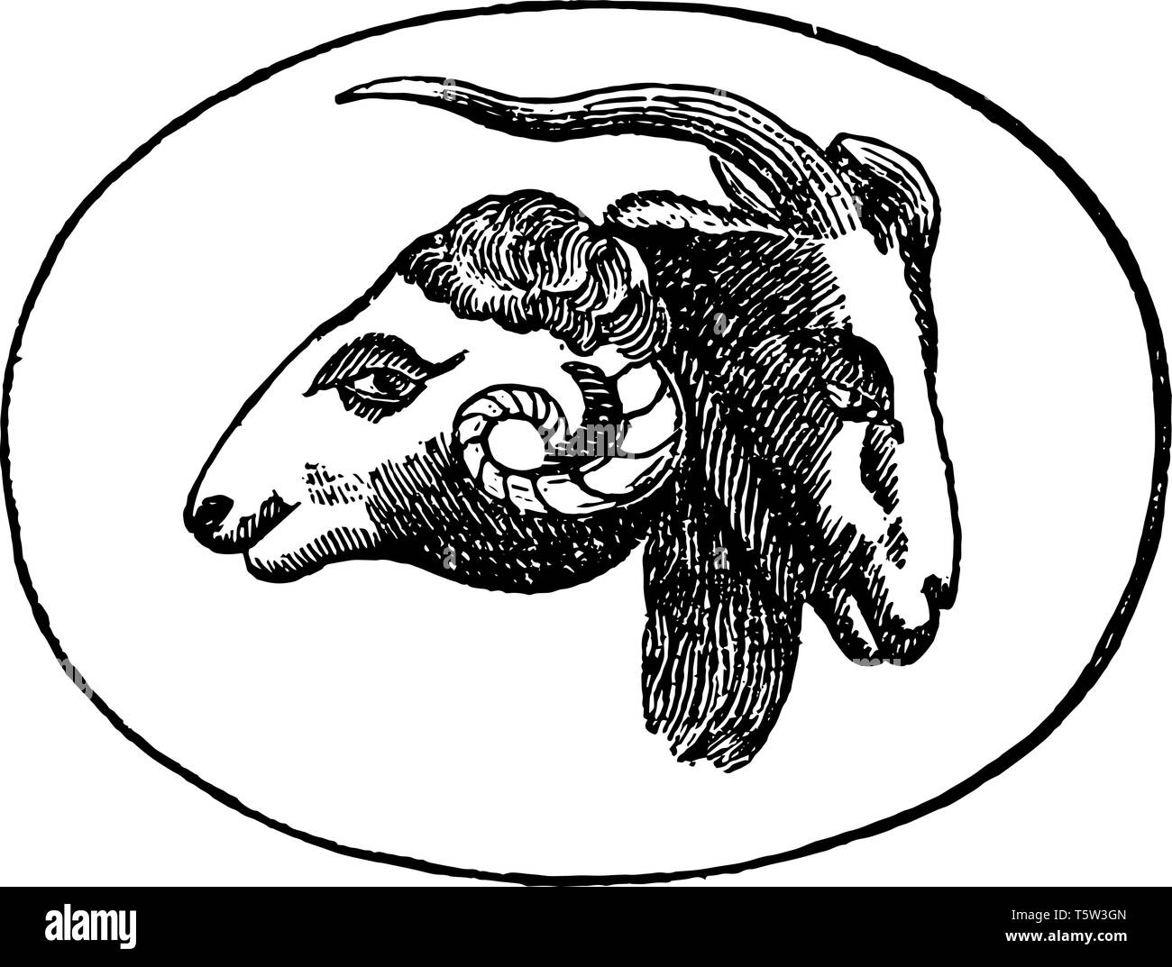 This image shows the ancient stone cut, the ram and the goat with a ...