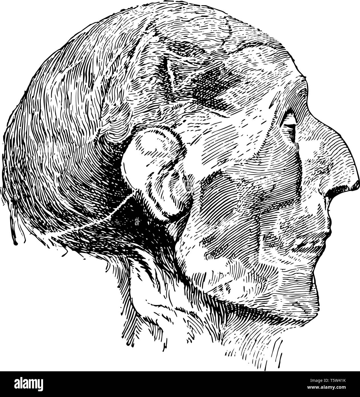 Ramses Ii Mummy Face Clipart