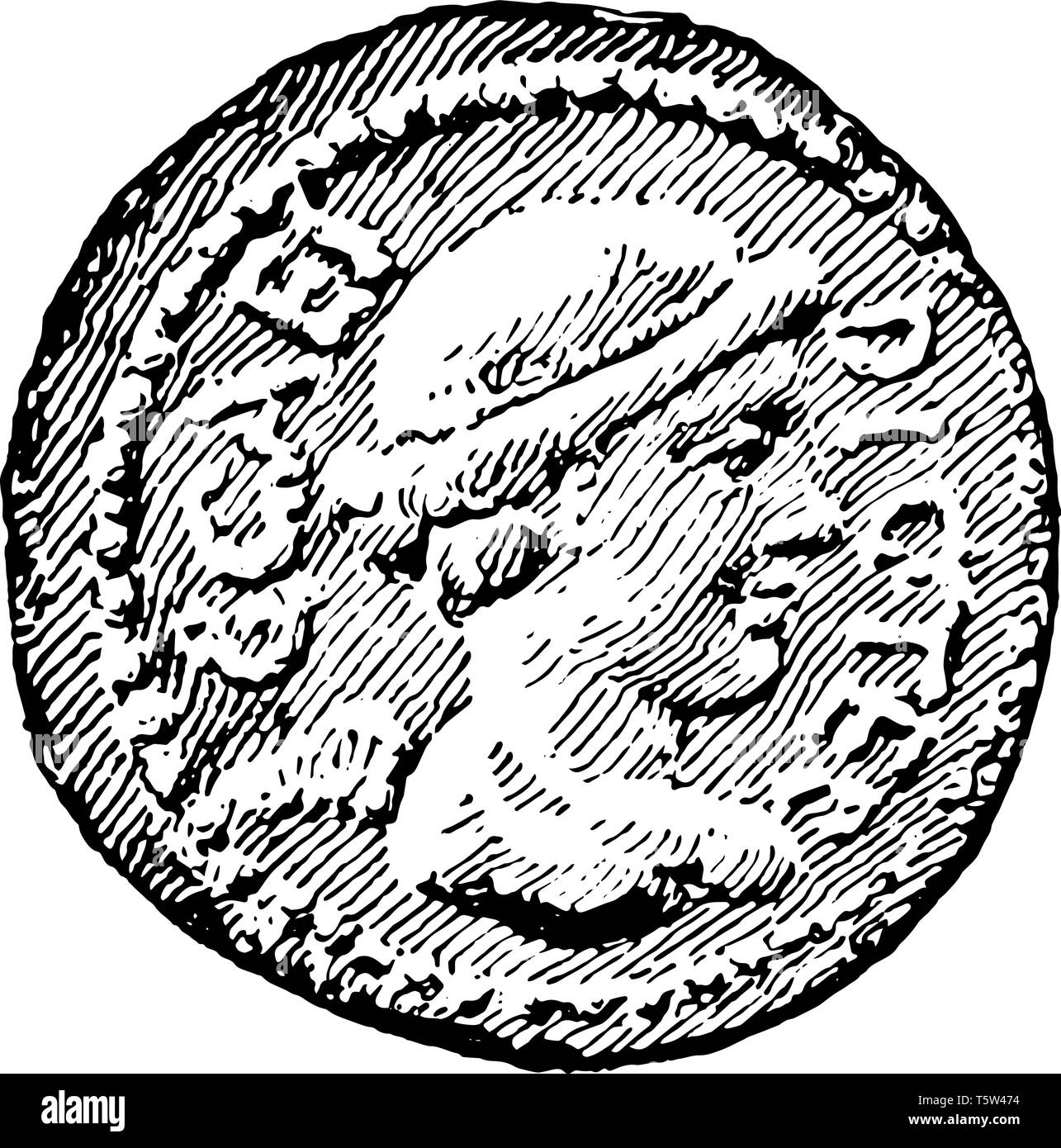 Ancient roman coin Stock Vector Images - Alamy