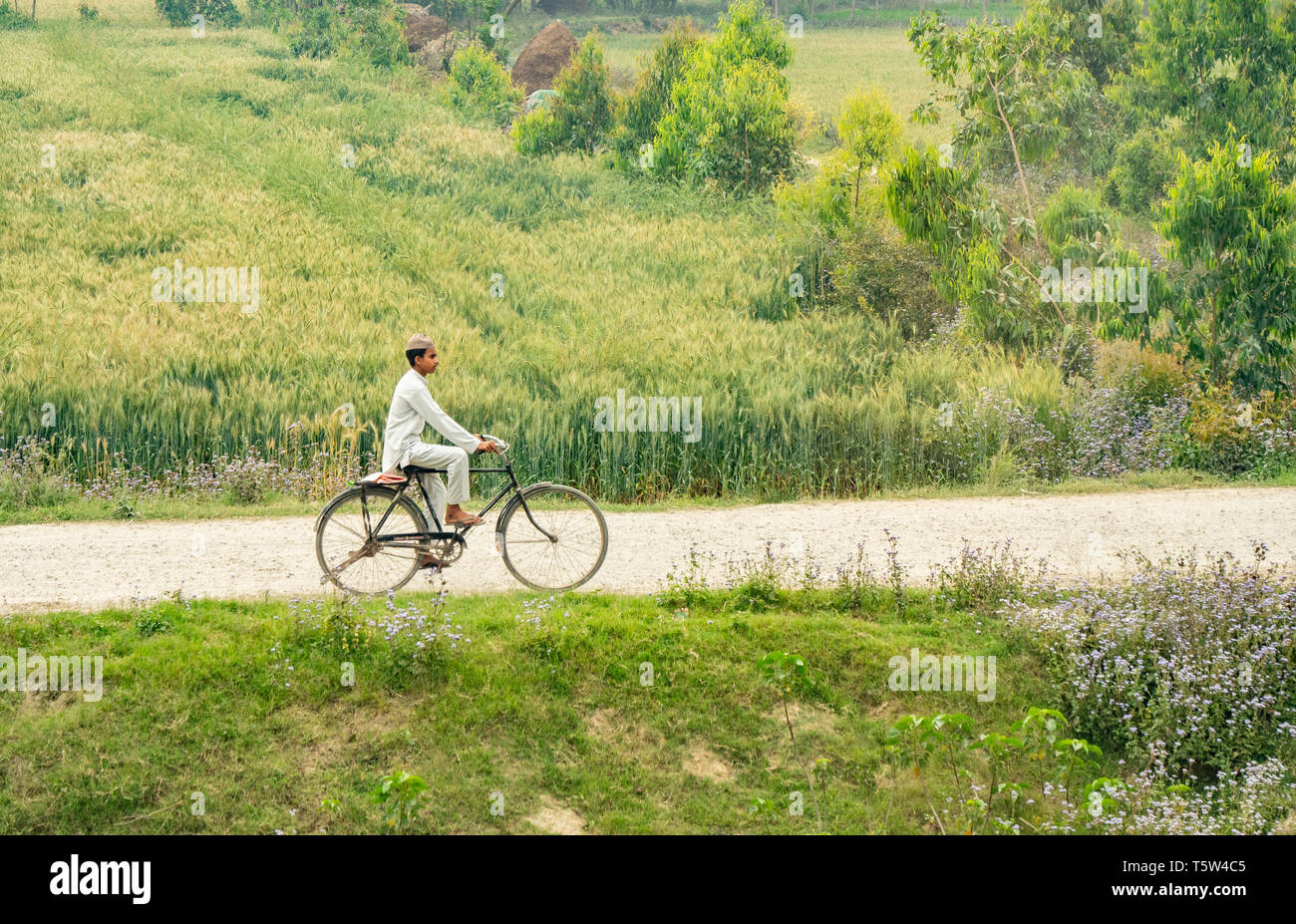 Indian man riding bicycle hi-res stock photography and images - Alamy