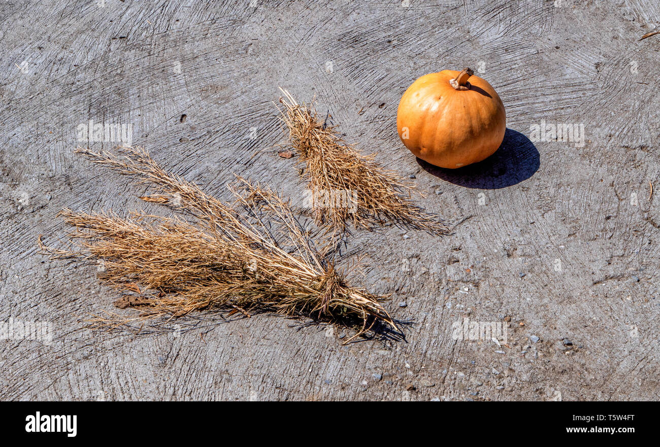 A pumpkin and two old grass sweeping brushes on the concrete roof of a ...