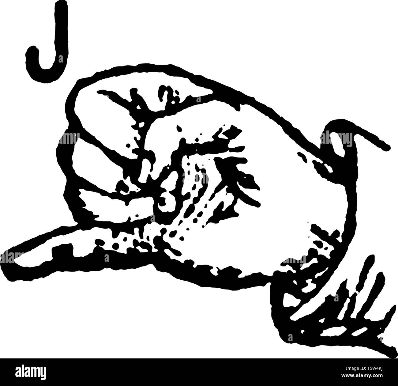 This illustration represents one handed Sign for J, vintage line ...