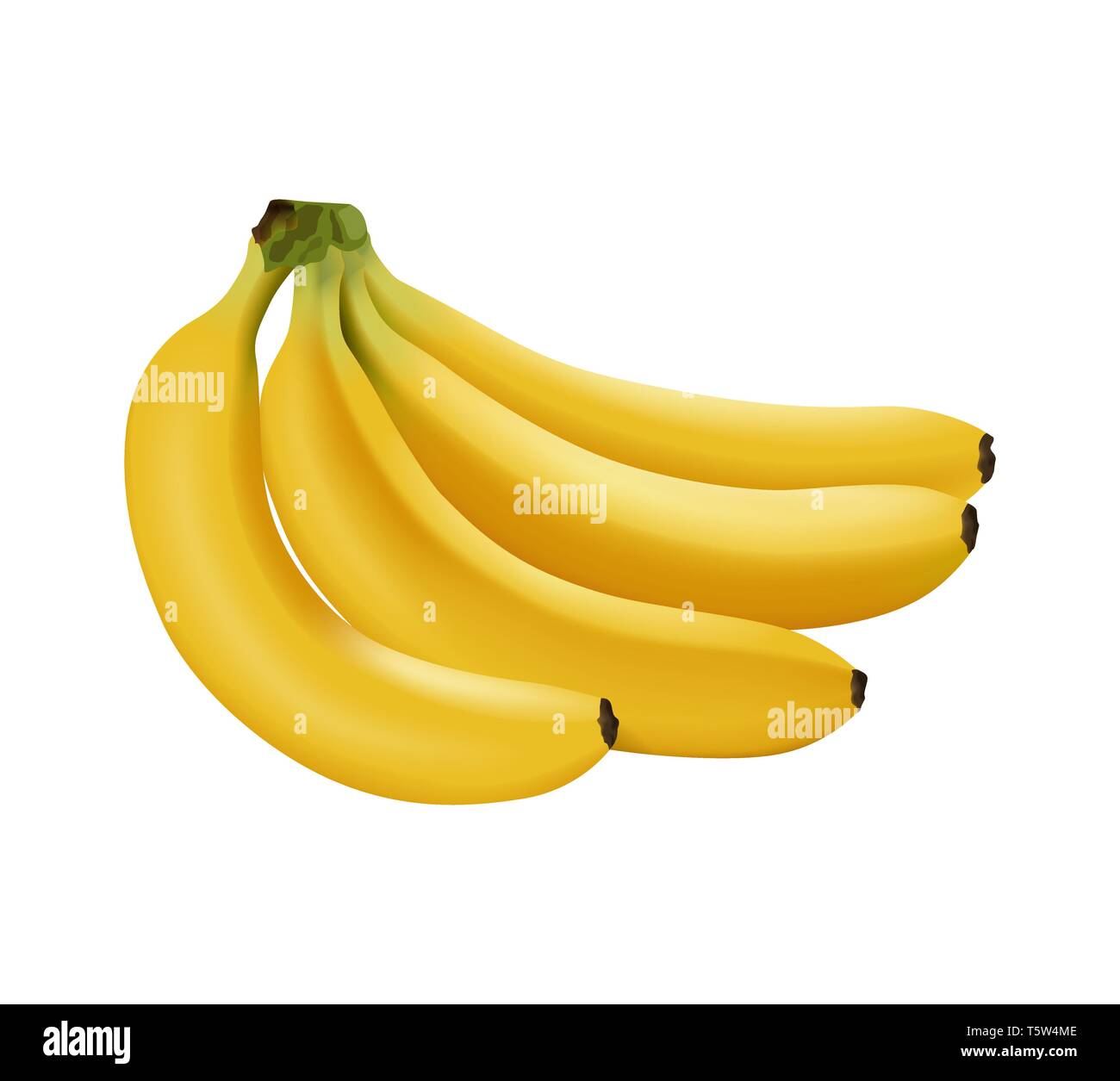 Realistic vector banana, branch of bananas isolated Stock Vector Image ...