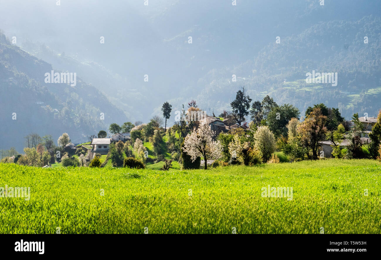 Saryu uttarakhand hi-res stock photography and images - Alamy