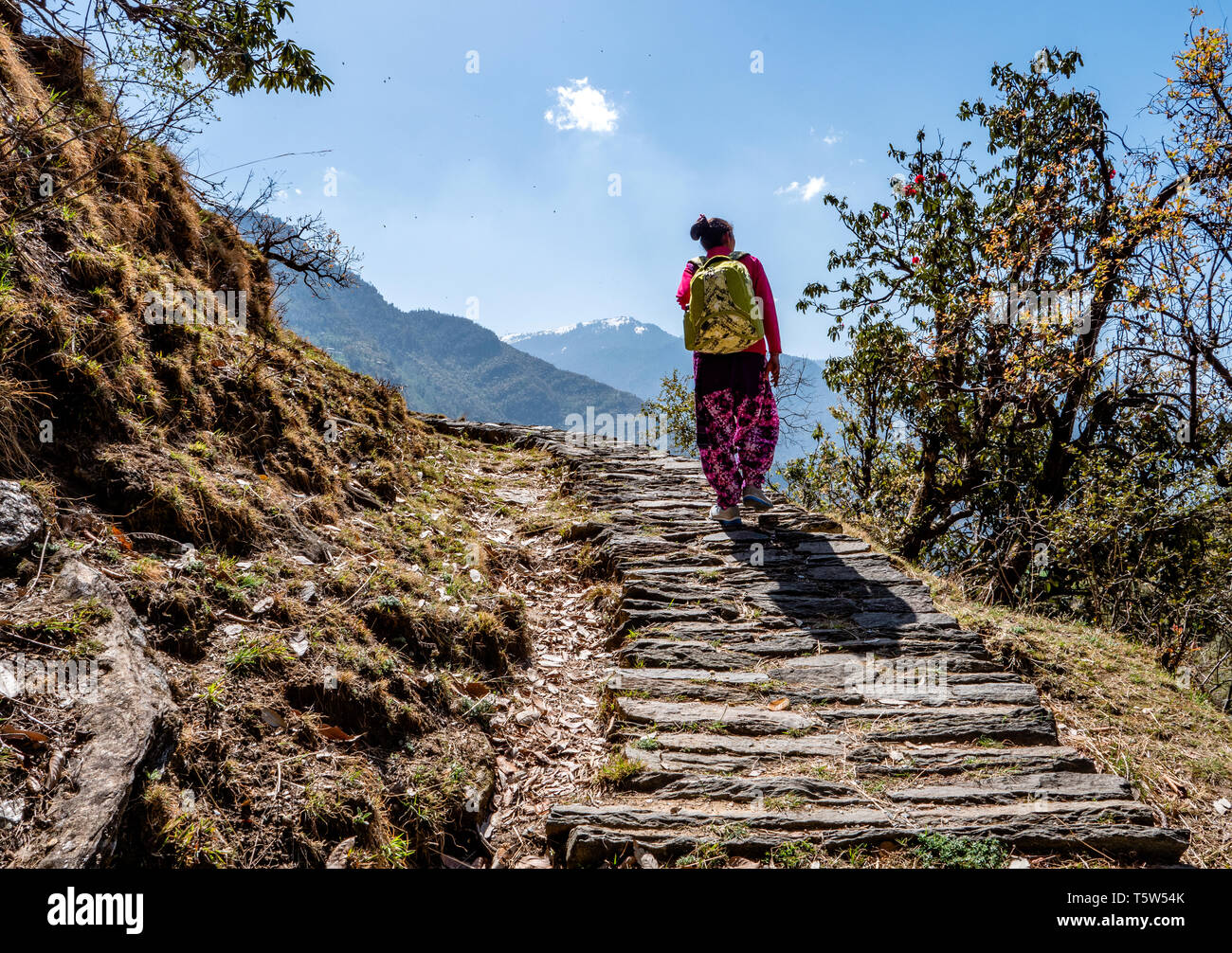 Walking on steep mountain paths in the Himalayas of Uttarakhand in ...