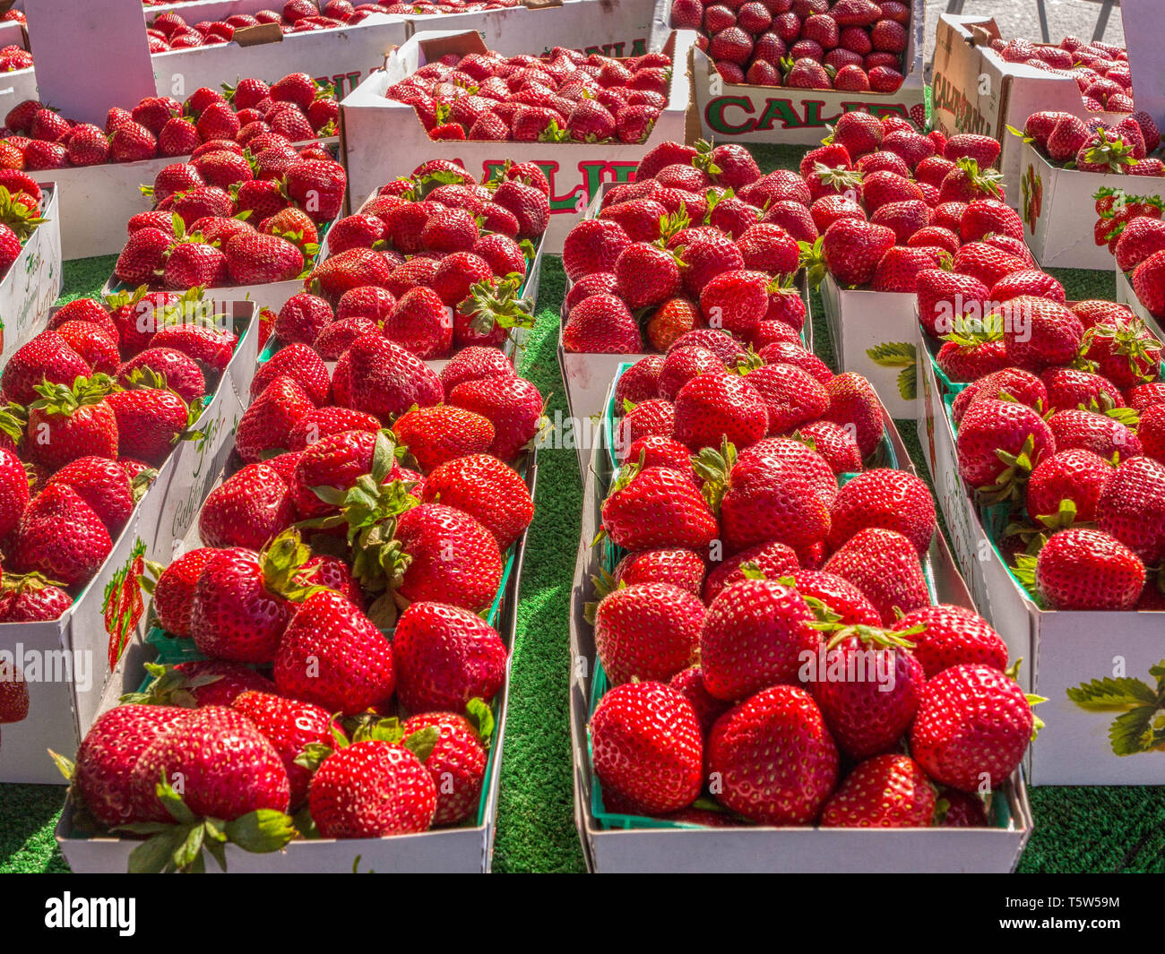 Bio farmer market hi-res stock photography and images - Alamy