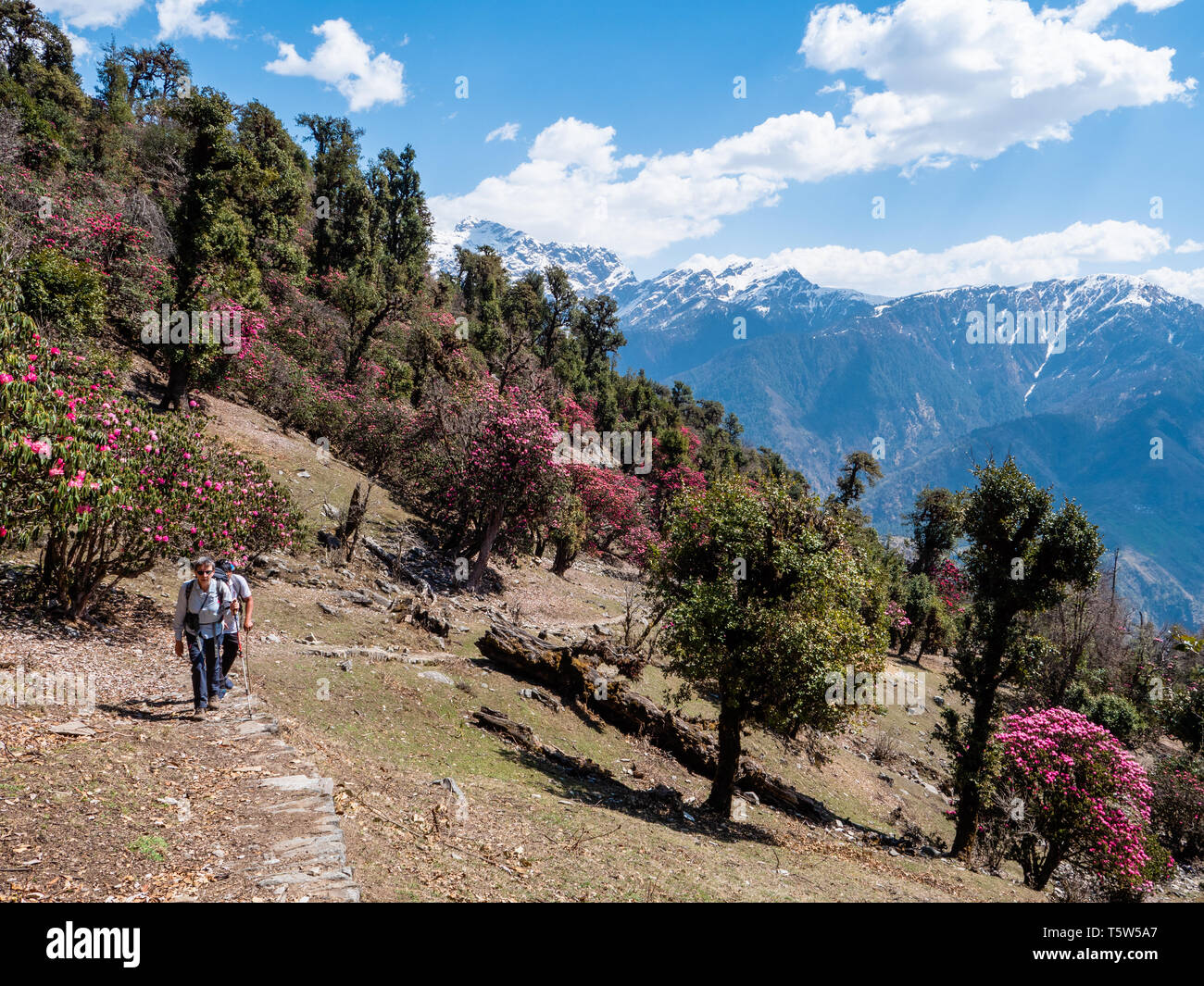 Trekking in the himalayan foothills hi-res stock photography and images ...