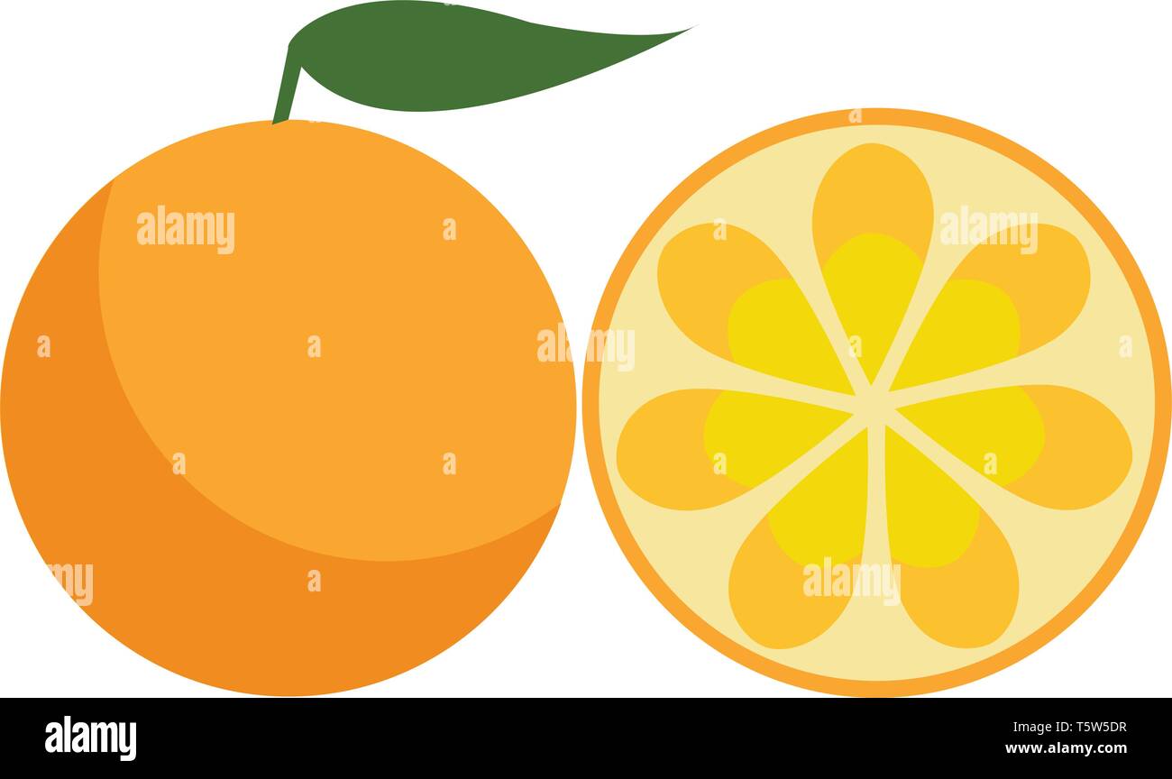 Color fruit slice hand Stock Vector Images - Alamy