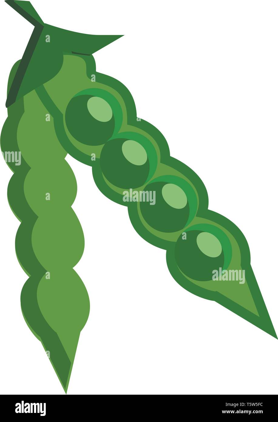 A fresh pea pod vector or color illustration Stock Vector Image & Art ...