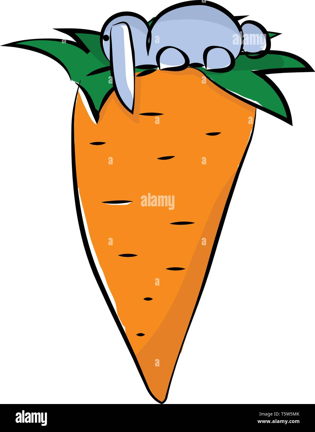 Rabbit behind a carrot vector or color illustration Stock Vector Image ...