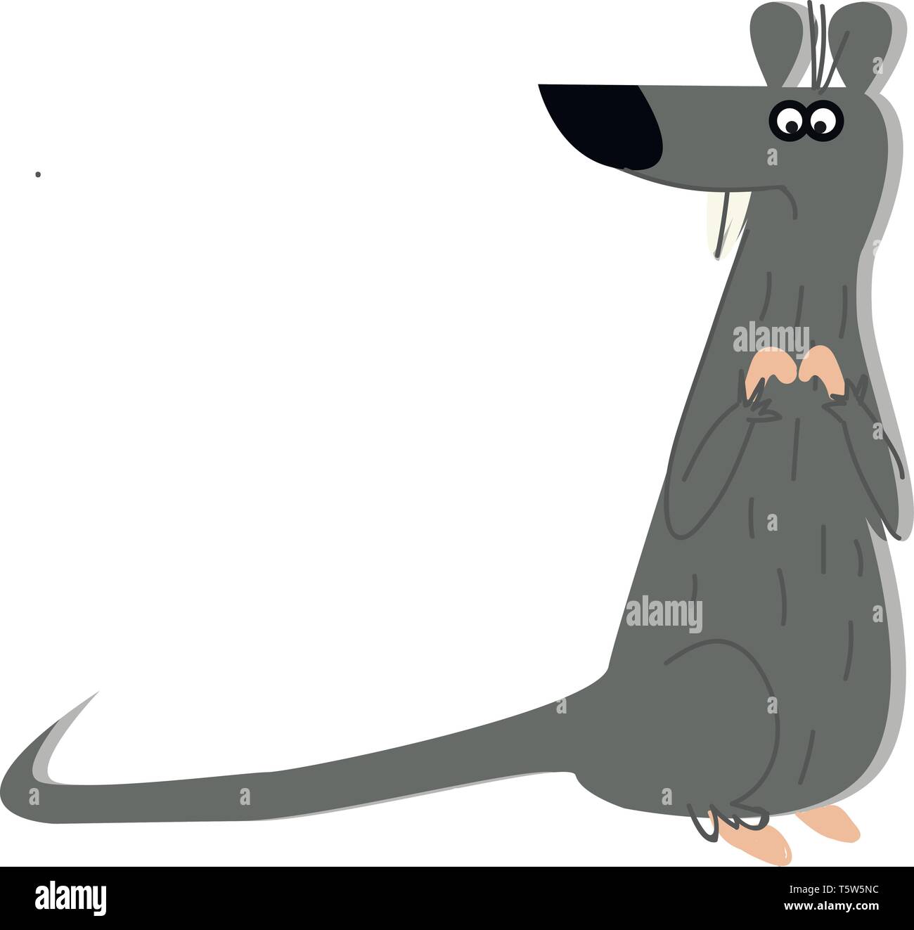 Grey rat hi-res stock photography and images - Alamy