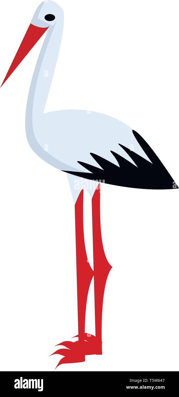 A white Stroke bird vector or color illustration Stock Vector Image ...