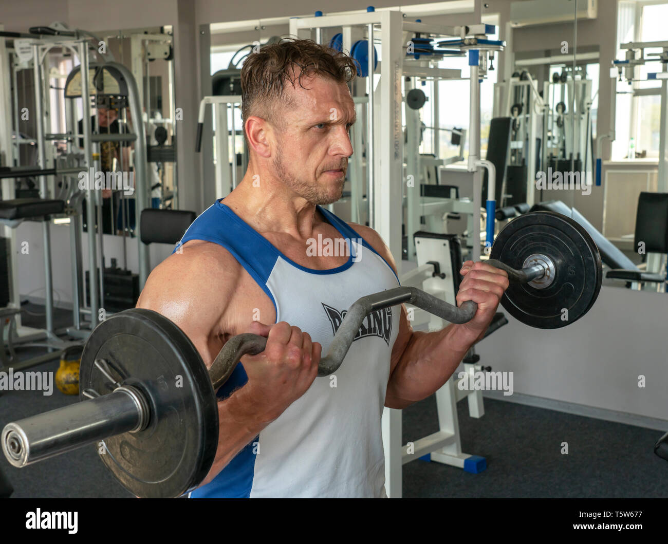 Athlete bodybuilder shakes muscles in the gym, performs lifting the bar ...