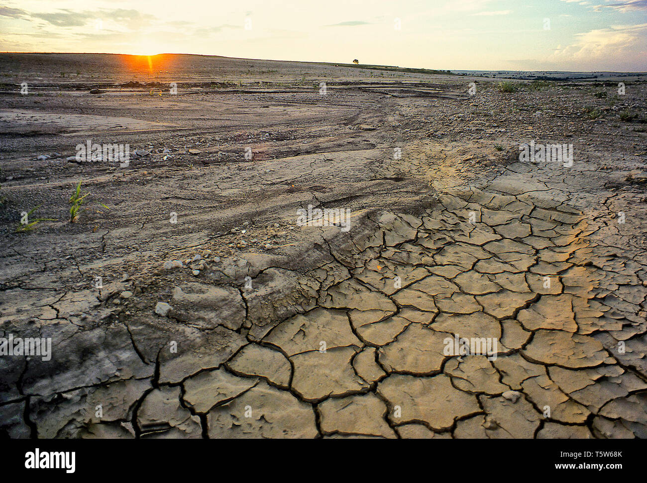 Extremely dry arid land in far West Texas Stock Photo - Alamy