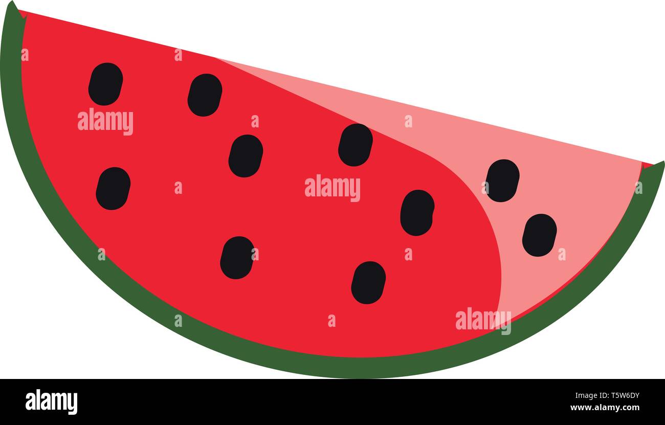 Watermelon vector hi-res stock photography and images - Alamy