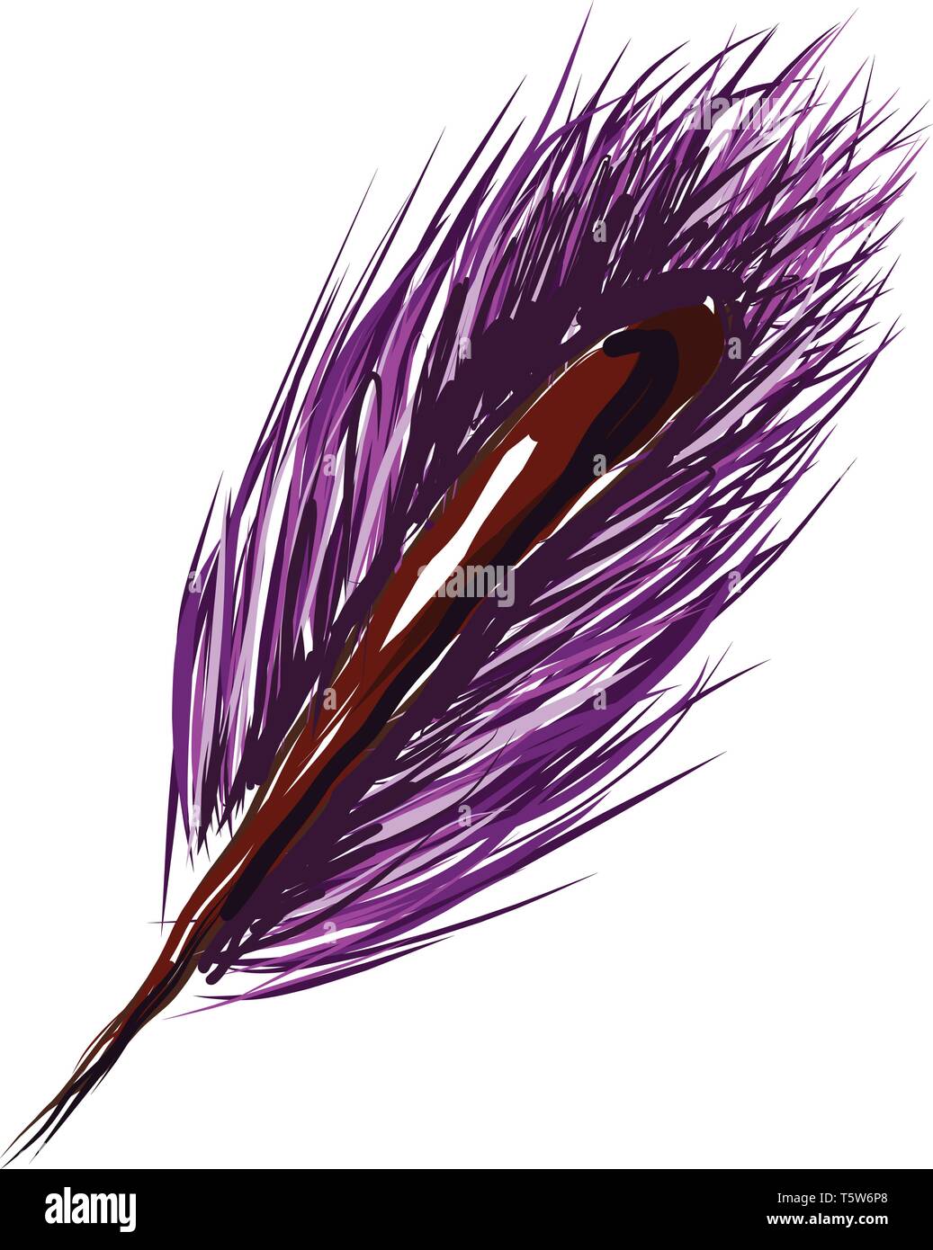 Vector illustration of feather hi-res stock photography and images - Alamy