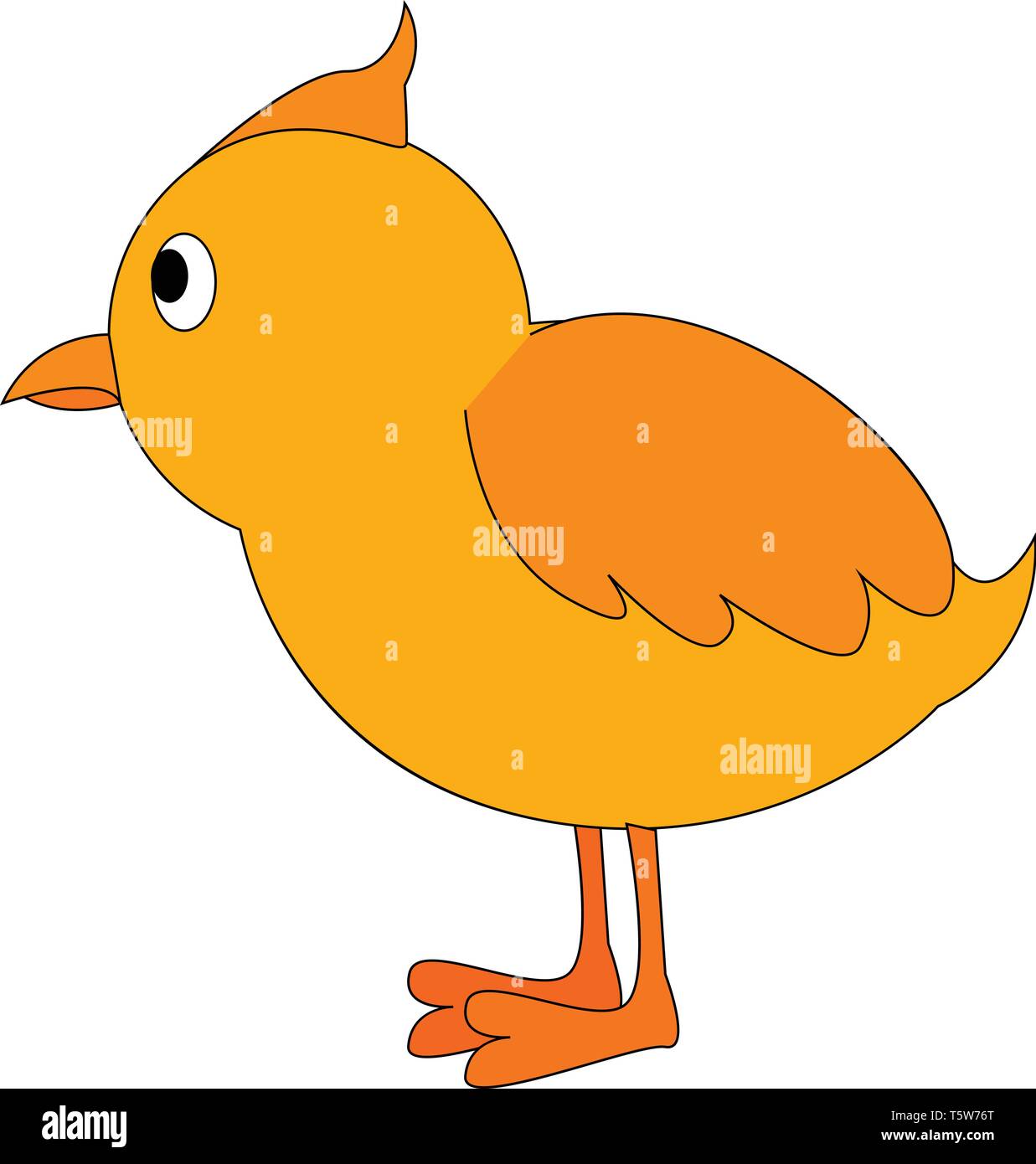 A side view of a yellow chick standing upright vector color drawing or ...