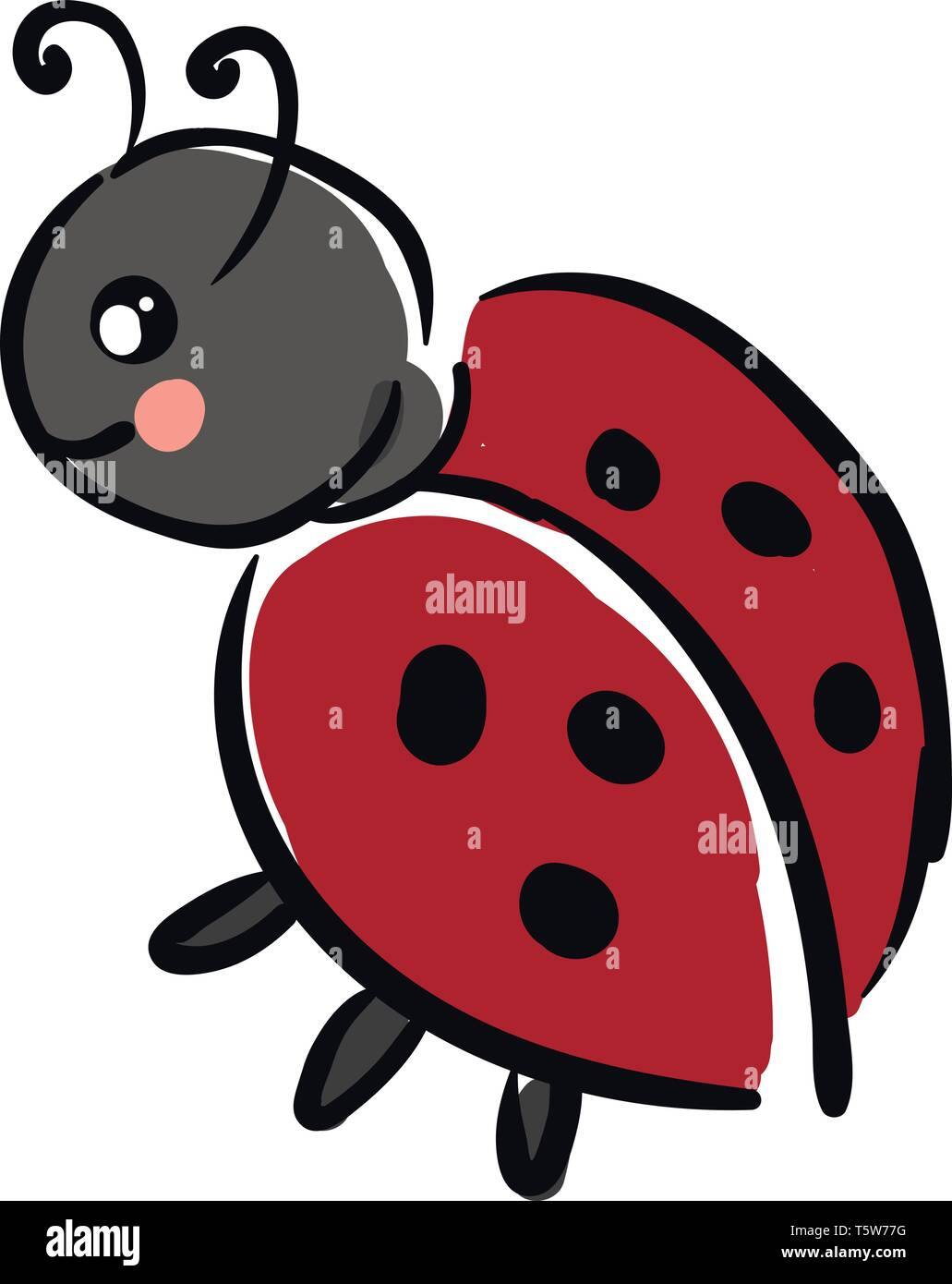 A small black color ladybug with red and black polka dots wings vector ...