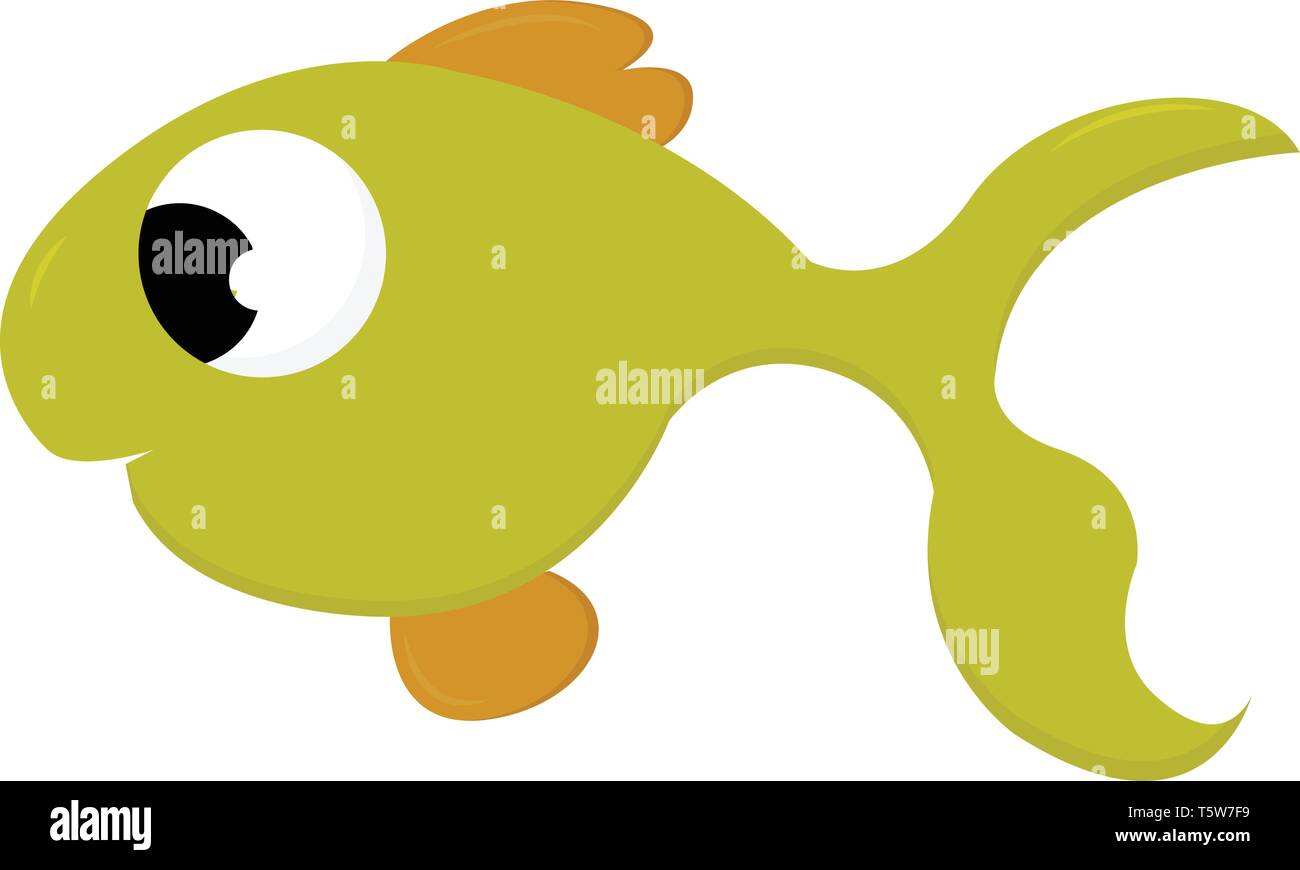 A small light green fish with brownish fins and big eyes swimming in ...