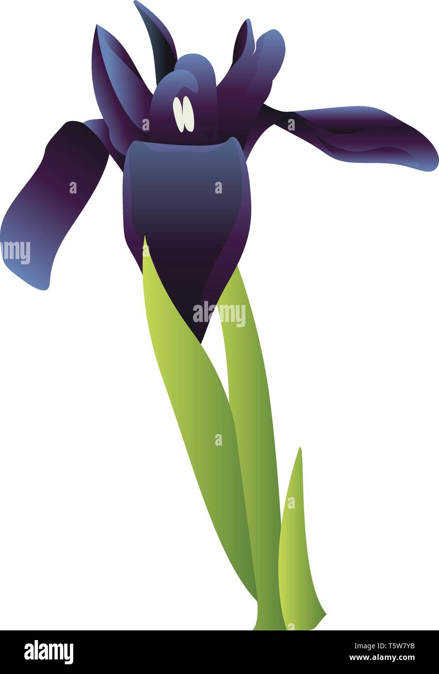 Blue iris Stock Vector Images - Alamy