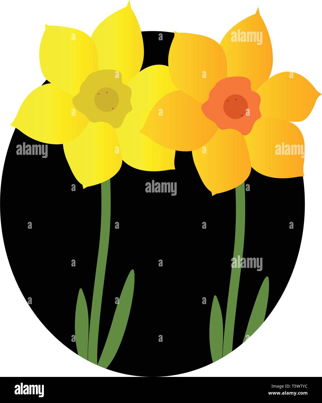 Vector illustration of yellow and orange jonquil flowers with green ...