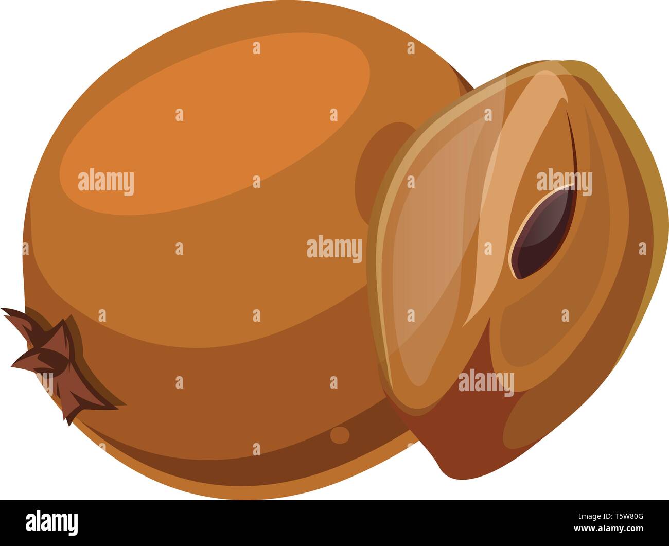 Chico fruit Stock Vector Images - Alamy