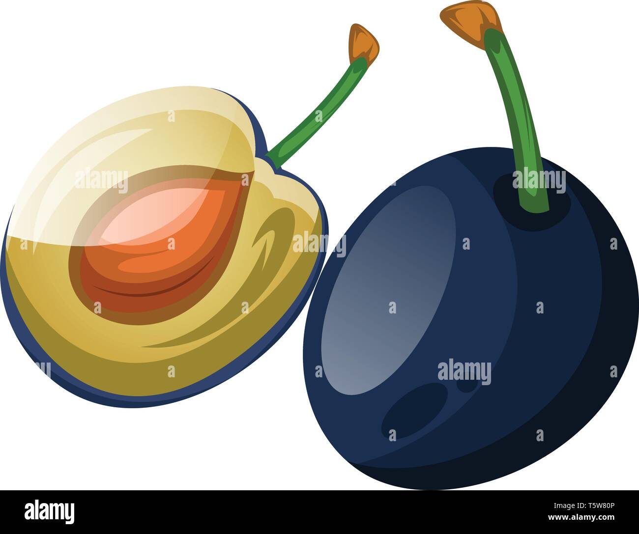 Blue damson plum cut in half cartoon fruit vector illustration on white ...