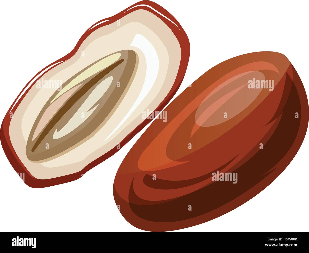 Brown and white raw date cut in half cartoon fruit vector illustration ...