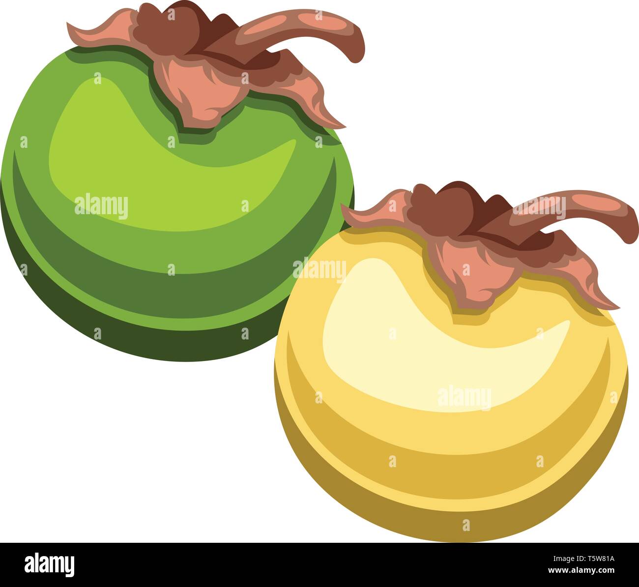 Vector illustyartion of nance fruit green and yellow with brown petal ...