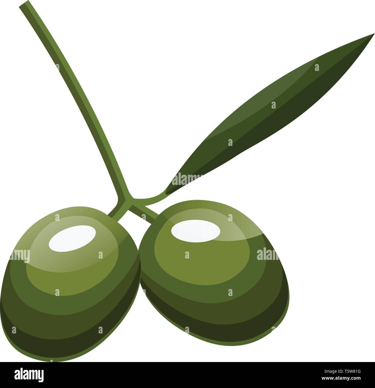 Cartoon of two green olives with green leaf on a branch vector ...