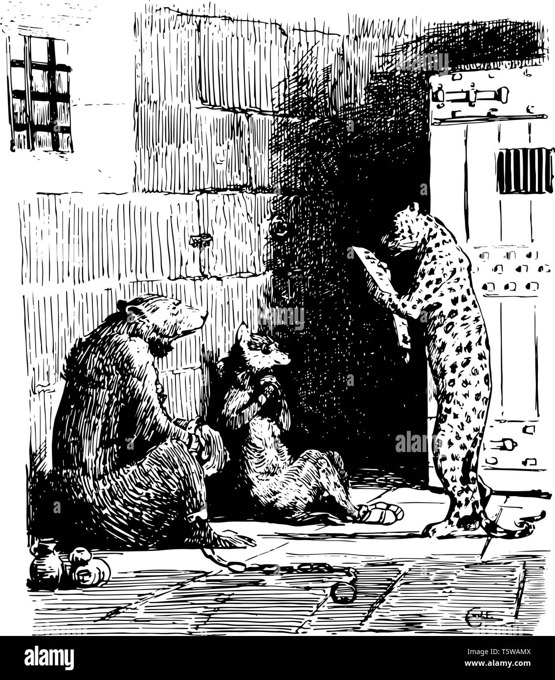 Fox and leopard Black and White Stock Photos & Images - Alamy