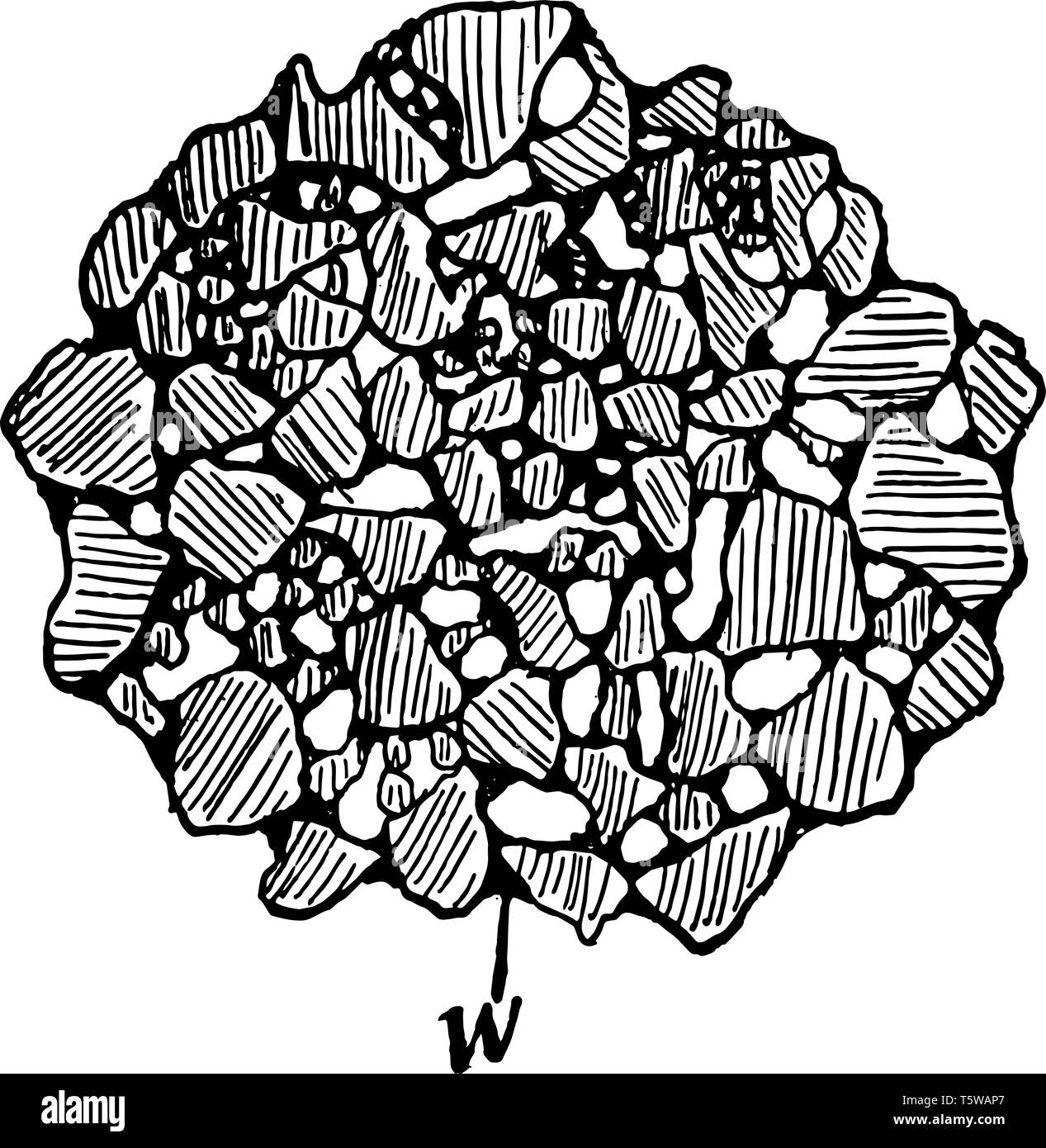 This illustration represents Soil Crumb which has been tilled to reveal ...