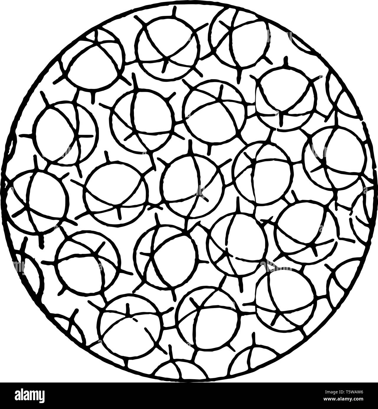 This diagram represents Solid State Showing No Regularity of Molecular ...