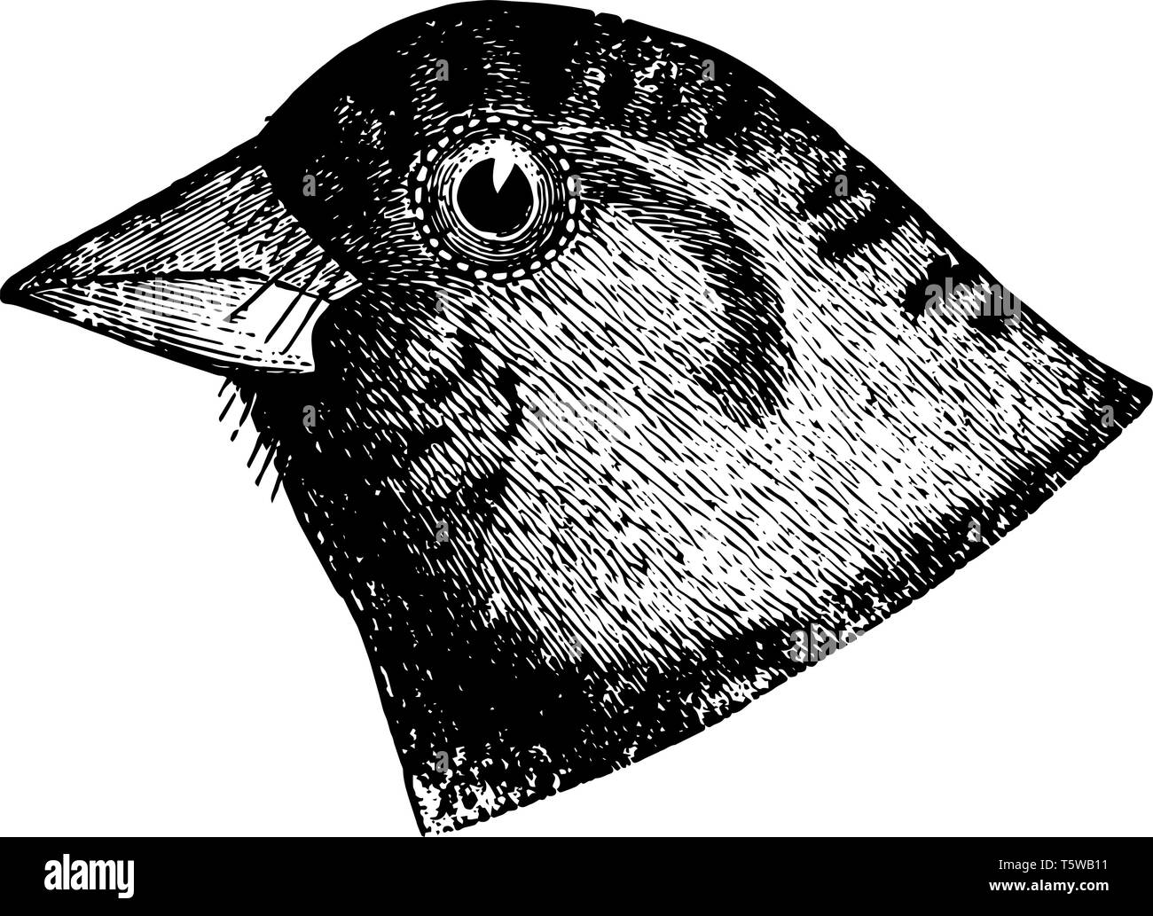 The brandt line Black and White Stock Photos & Images - Alamy