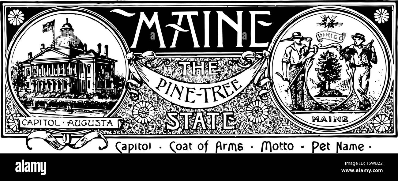 The state banner of Maine the pine tree state this banner has state ...