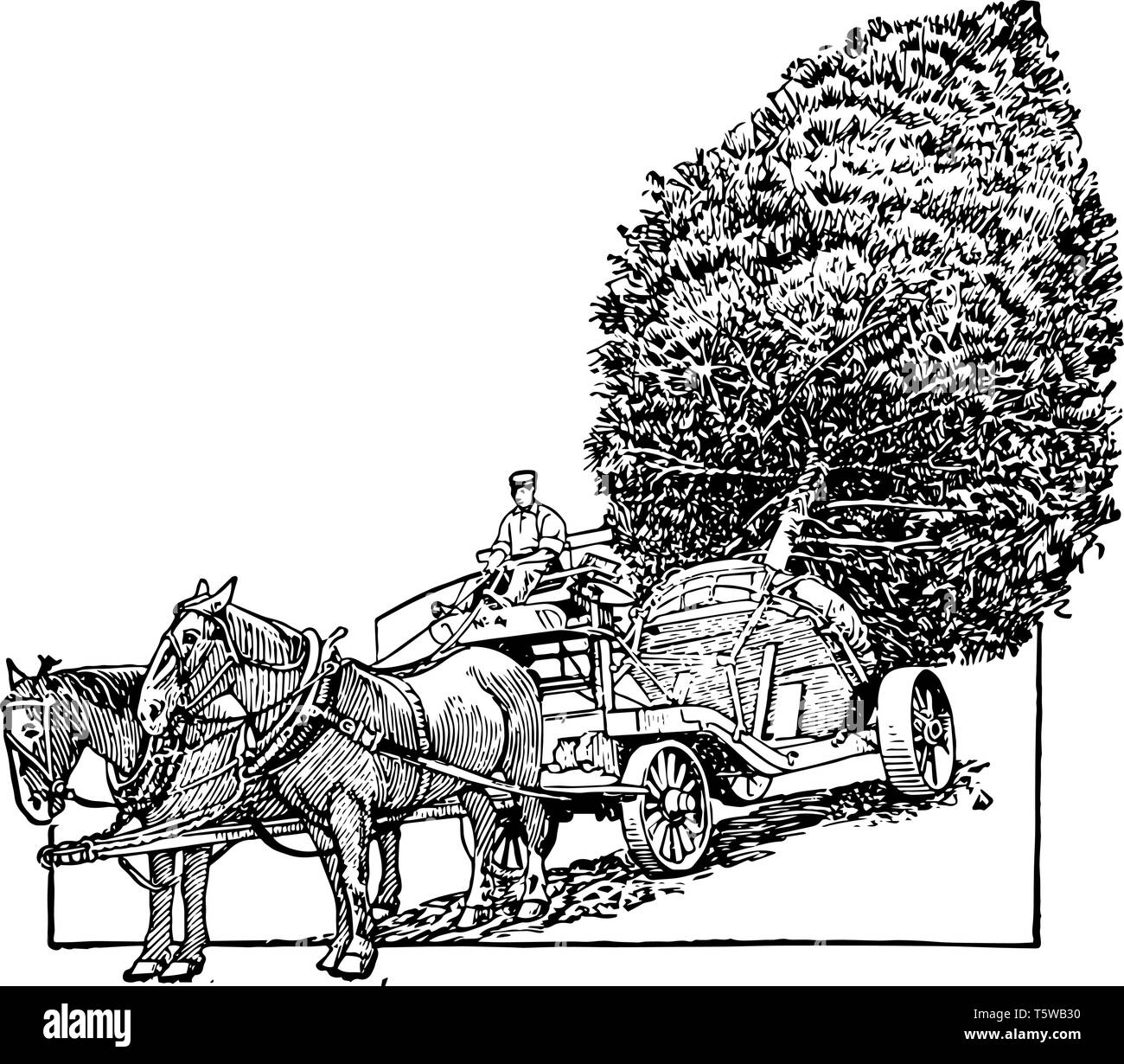 This illustration represents Tree Transportation vintage line drawing ...
