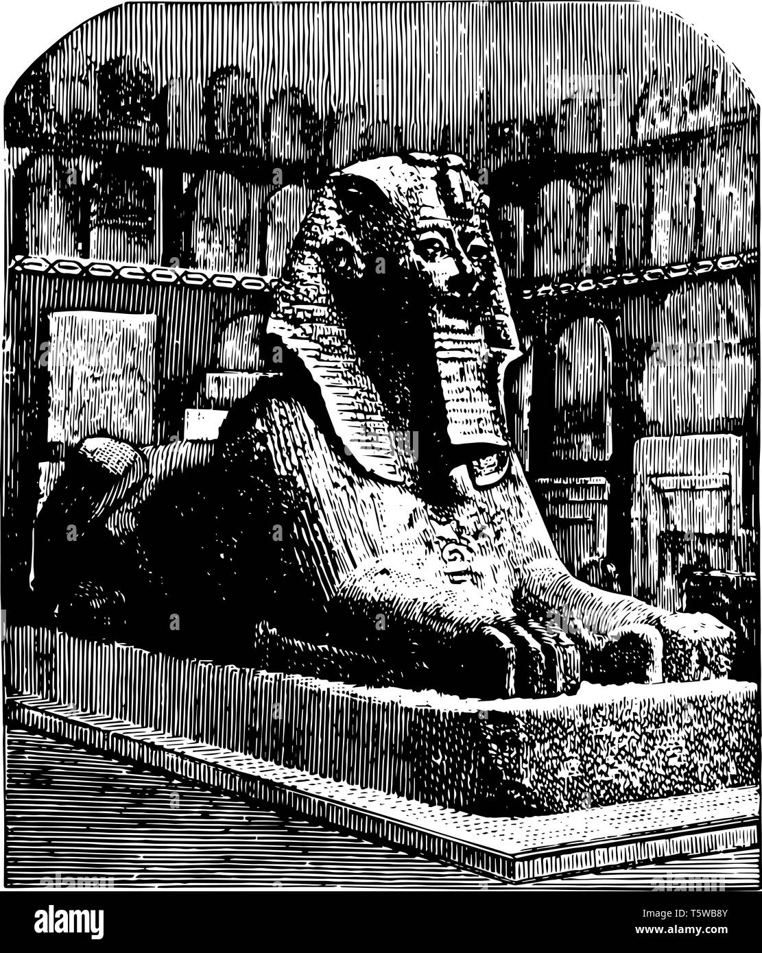 Androsphinx of Thothmes sphinx sphynx most familiar humans head ...