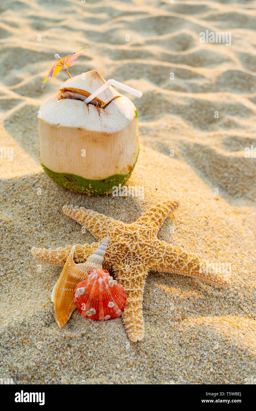 Coconut, seashell and Starfish at the tropical beach Stock Photo - Alamy