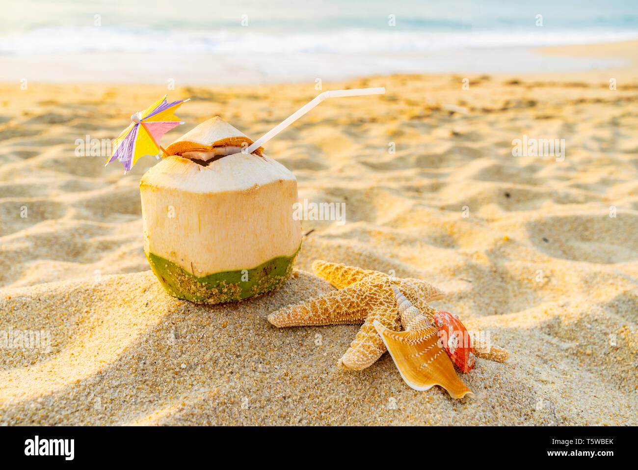 Coconut, seashell and Starfish at the tropical beach Stock Photo - Alamy