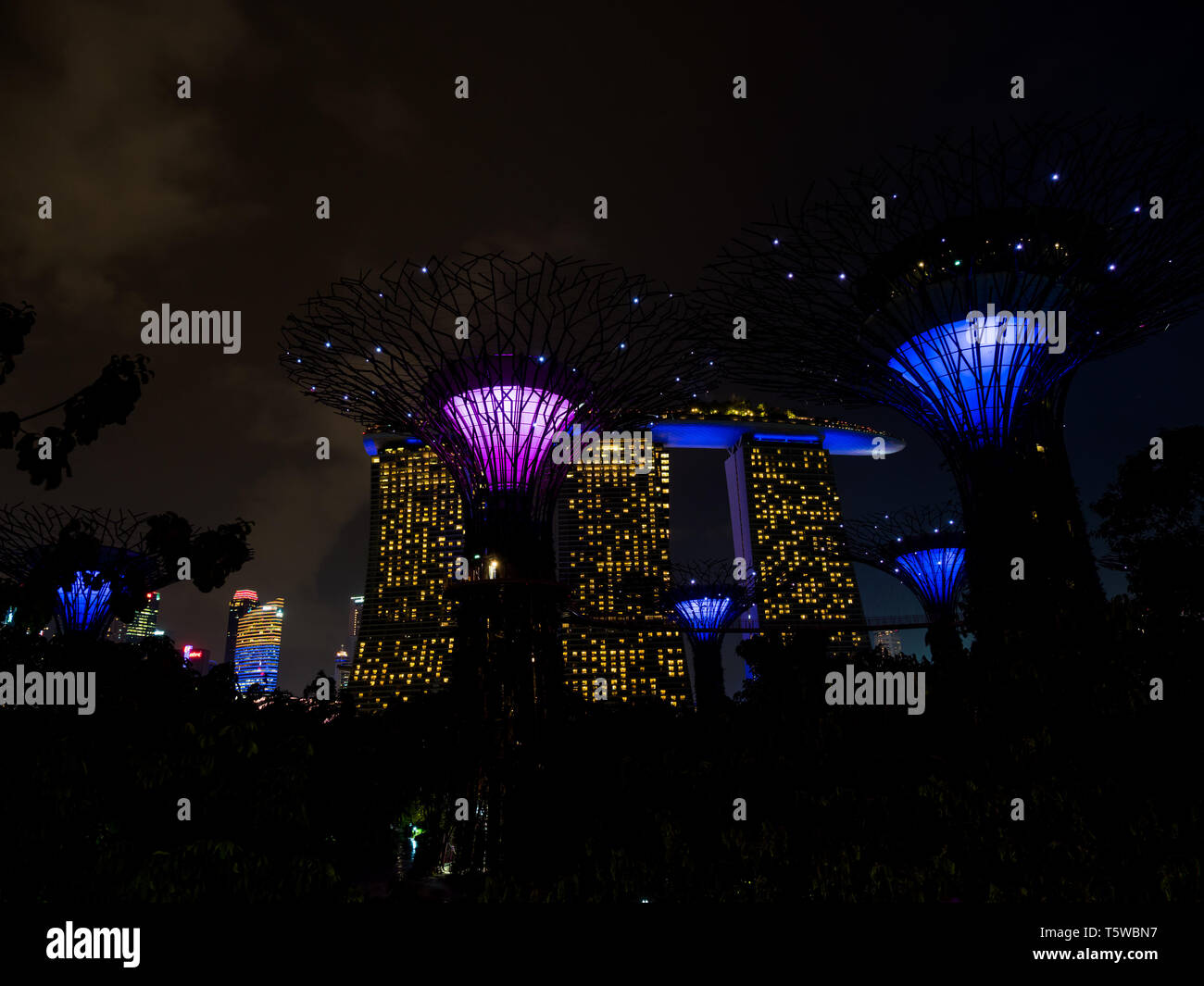 SINGAPORE CITY, SINGAPORE - FEBRUARY 03, 2019: Gardens by the bay in ...
