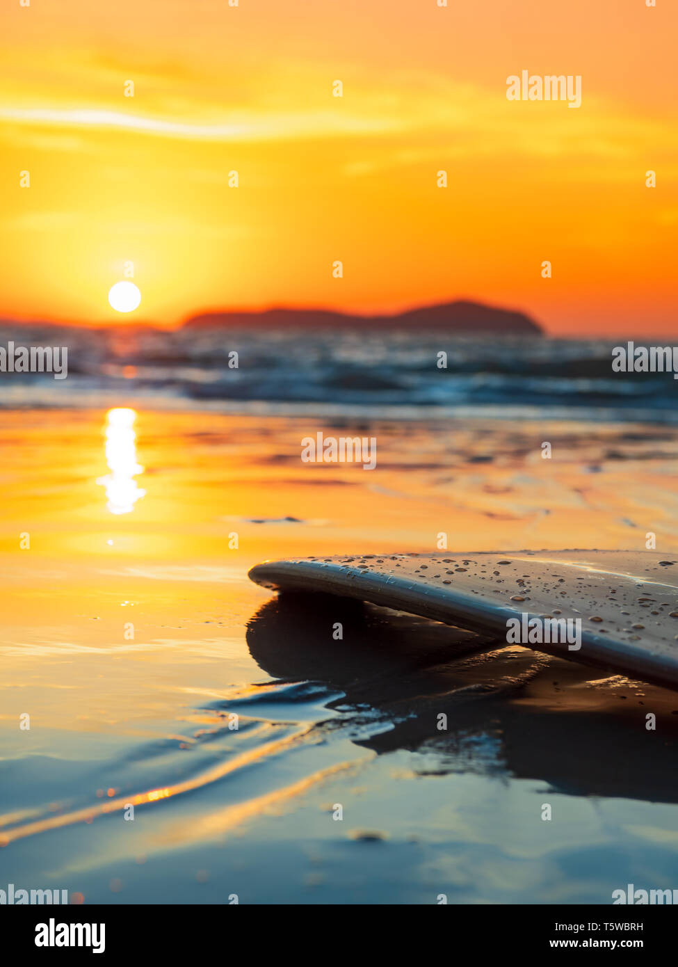 surfboard on the beach in sea shore at sunset time with beautiful light ...