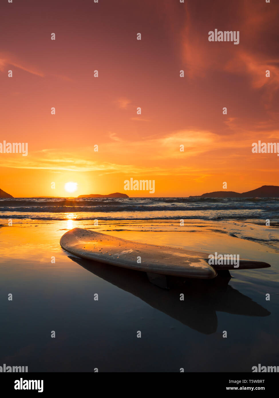 surfboard on the beach in sea shore at sunset time with beautiful light ...