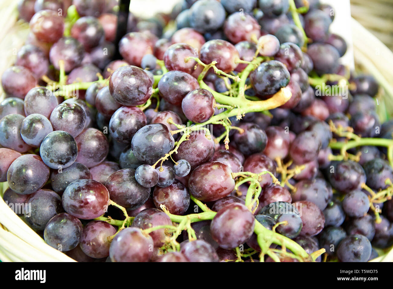 Grapes store hi-res stock photography and images - Alamy