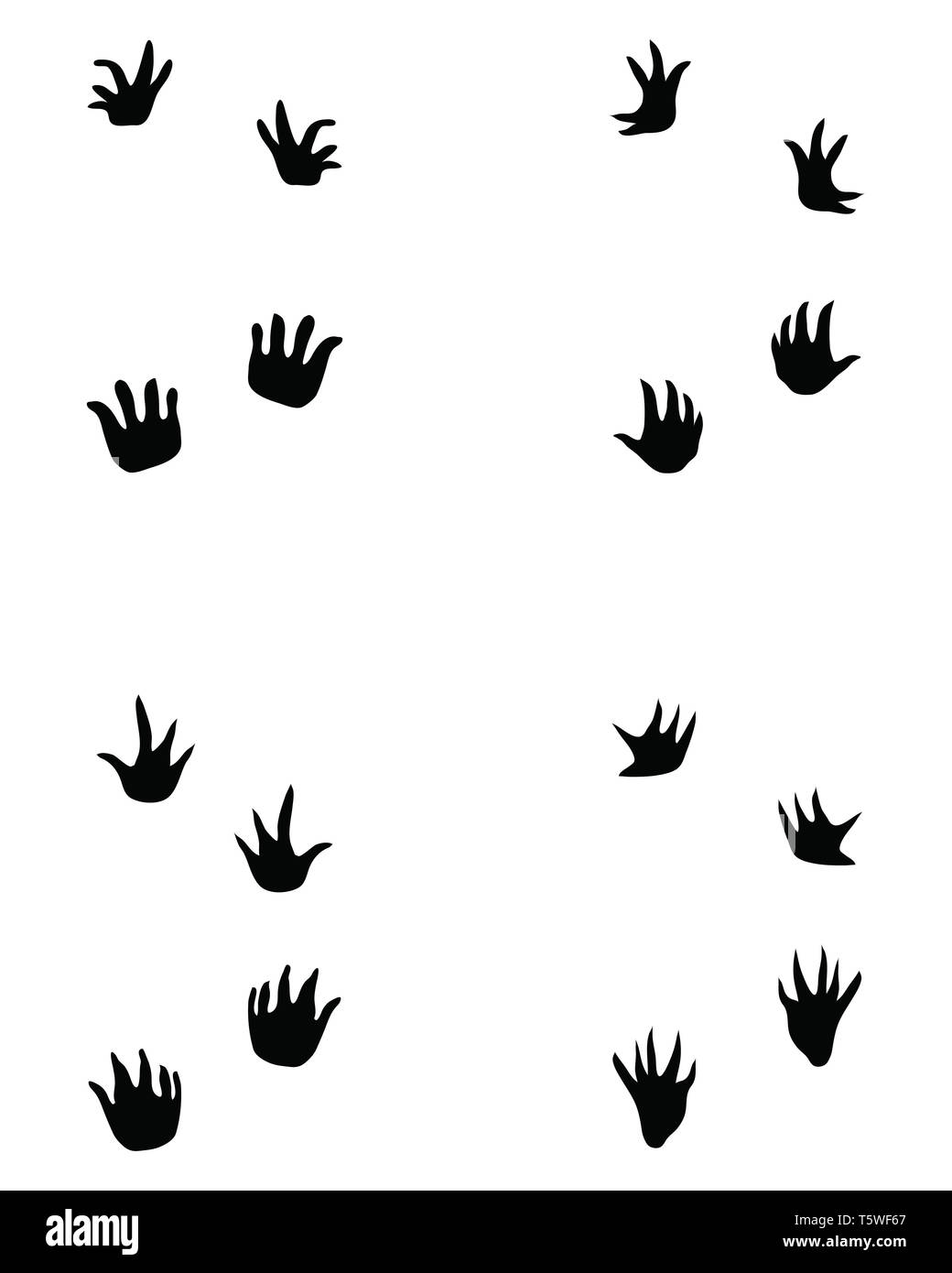 Black footprints of crocodile on a white background Stock Photo - Alamy